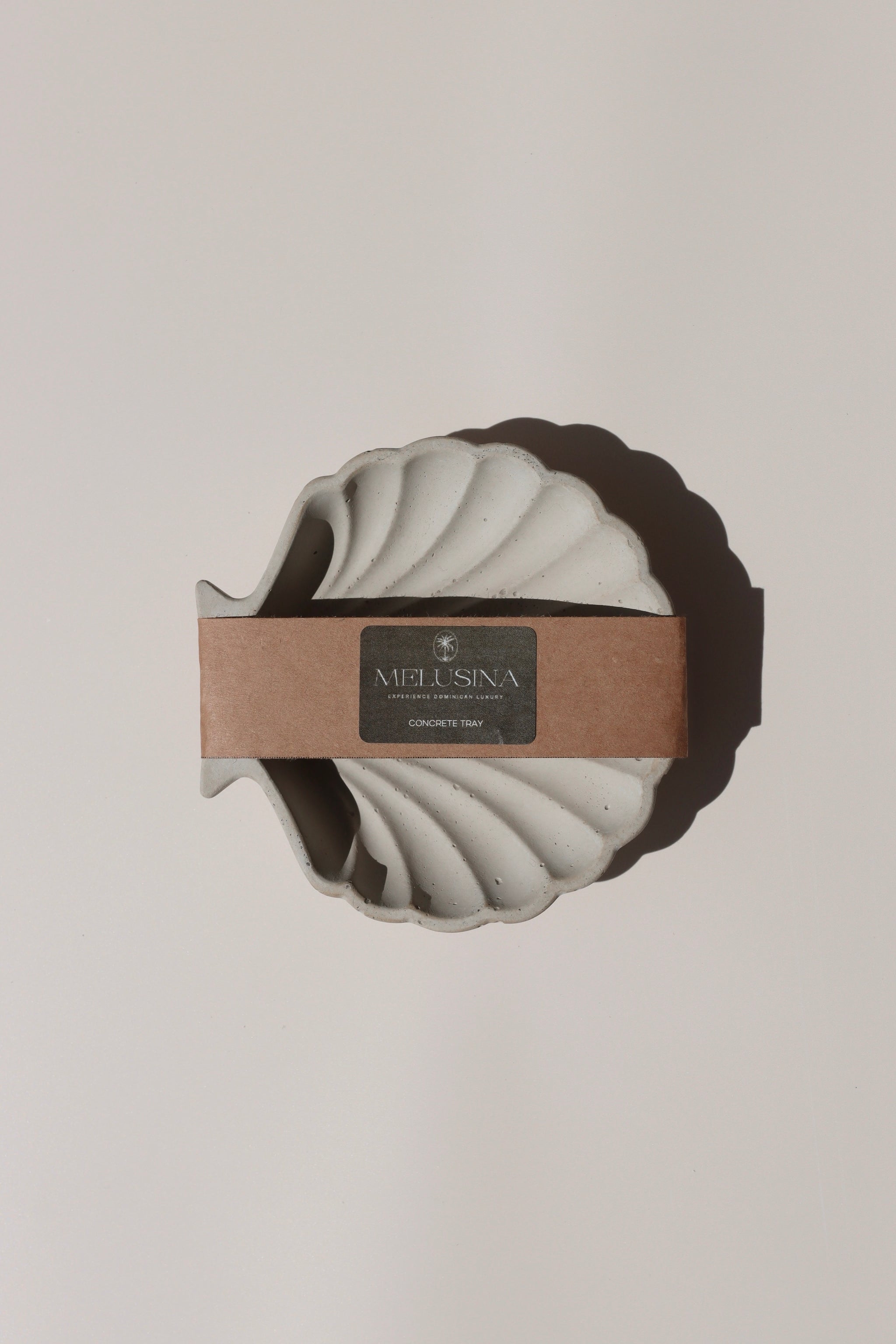 SEASHELL TRAY